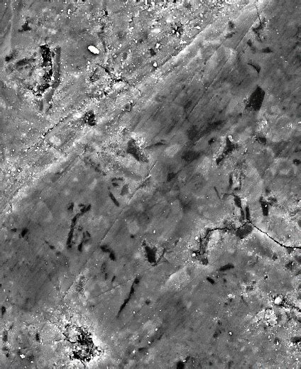 sem micrograph of cement containing biochar 18 at 1000× magnification