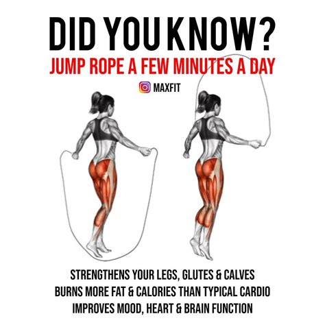 Jump Rope Training Artofit