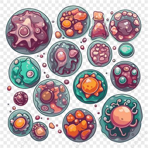 Cells Clipart Various Celllike Cells In Different Shapes And Colors