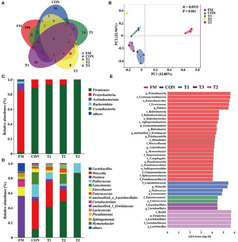 Frontiers Evaluating The Fermentation Characteristics Bacterial