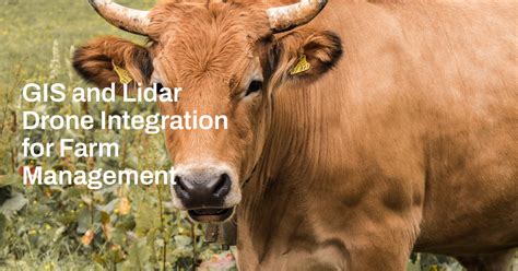 Gis And Lidar Drone Integration For Farm Management