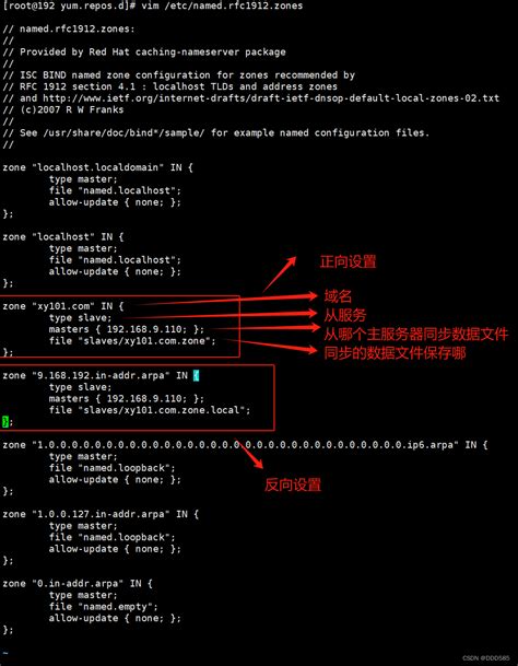Linux的dns域名解析服务linux域名解析 Csdn博客