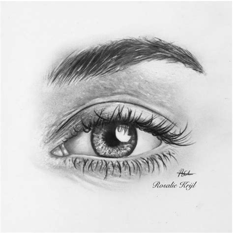 Human Eye Drawing Bastawestcoast