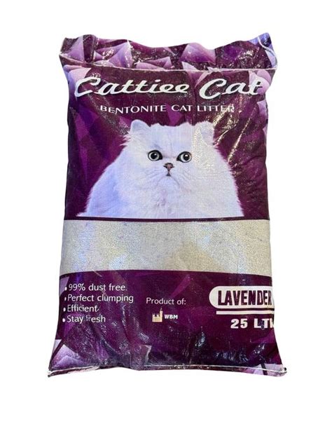 Captin Cat جميع المنتجات