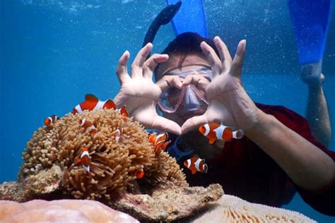Paket Tour Karimunjawa Mirabelle Village Wisata Karimunjawa 2025