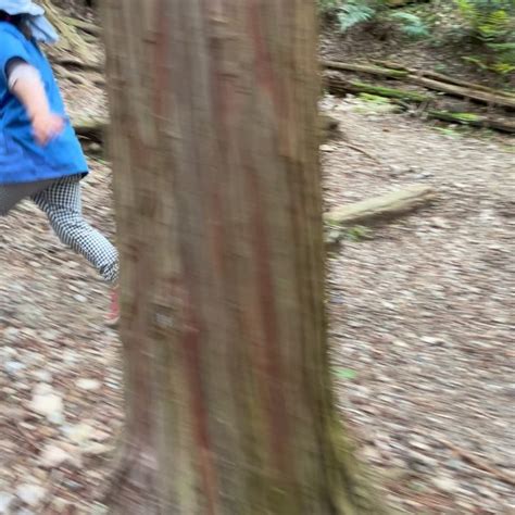 Obu Yamab【大府 山部】 ⛰️2024 4 27 【キッズハイキング】 メンバーの 娘さん 4歳 からの ラブコールに応えて