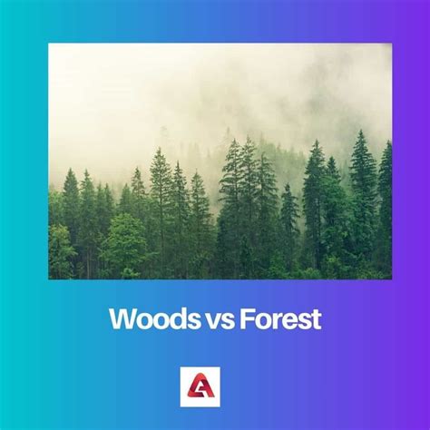 Woods Vs Forest Difference And Comparison
