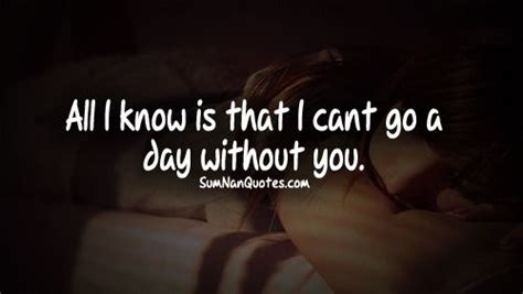 All I Know Is That I Cant Go A Day Without You I Love You Means