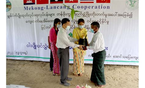 သတင်းများ