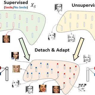 The Network Architecture Of Cross Domain Representation Disentangler Download Scientific
