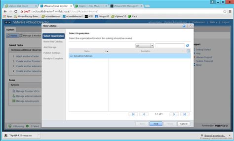 Vmware Vcloud Director Base Organization Part 7