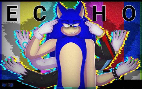 Echosonic The Hedgehog By Erinandelena On Deviantart