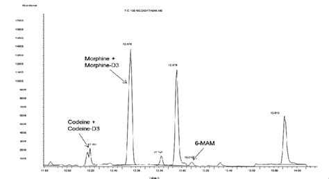 SIM Chromatogram Of Case N 10 Download Scientific Diagram