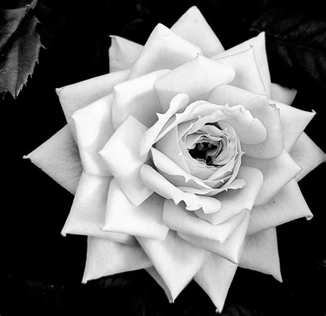 Work Photo Maiku 48 Ganref