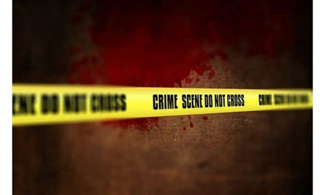 Sex Worker Murdered In Belfast Man Hands Himself Over Middelburg