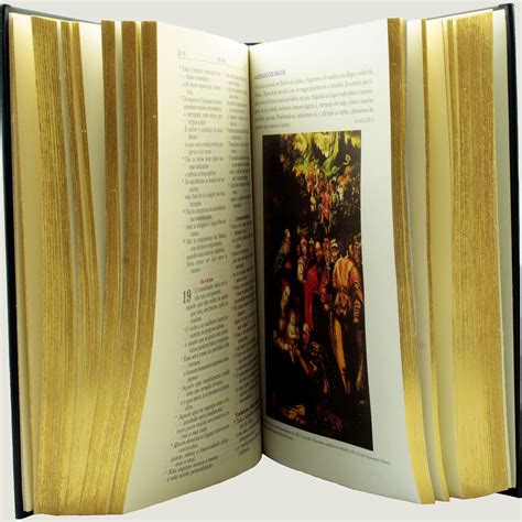 Biblia Sagrada Ilustrada Dourada Online Store