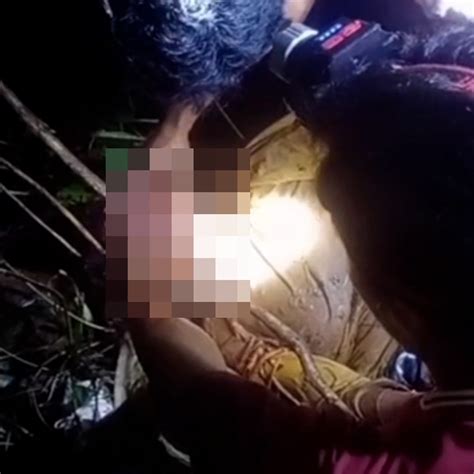 Option 1 Concise And Direct 23ft Python Devours 55 Year Old Woman