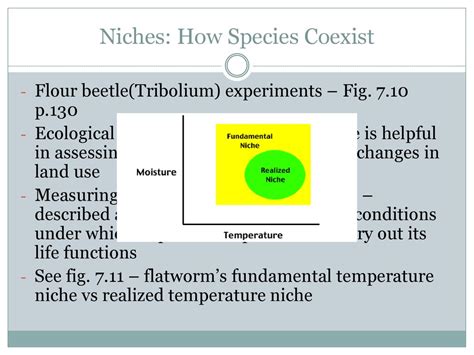Why Are There So Many Species Ppt Download