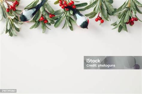 녹색 잎과 빨간 열매 와 백색 배경에 Bullfinchs 와의 평면도 크리스마스 휴일 인사말 카드 템플릿 0명에 대한 스톡 사진