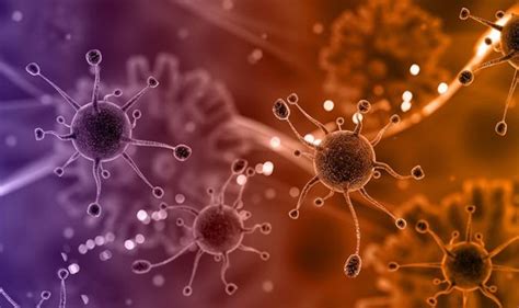 Alerta De Brote De Virus Tres Enfermedades Mortales Dando Vueltas Más