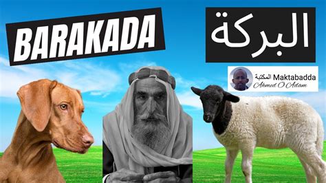 Qisadii Caalimkii Ibrahim Ibnu Adham Markii Nin Yiri Barako Ma Jirto قصة ابراهيم بن ادهم عن