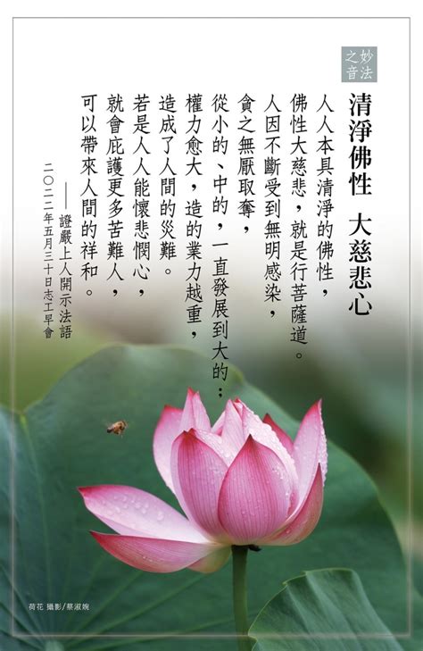 證嚴上人每日一叮嚀2022 06 08 1