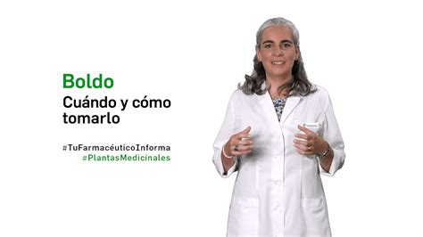 Beneficios del té de boldo y manzanilla juntos Beatriz Arroyo