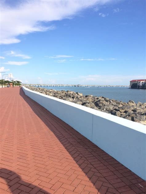 Cinta Costera De Panamá Comprar En Panamá