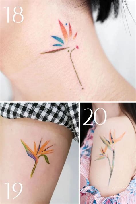 67 Colorful Bird Of Paradise Flower Tattoo Designs