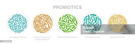 Probiotic 박테리아의 집합입니다 좋은 미생물 개념 흰색 배경에 고립입니다 Propionibacterium 유산 균