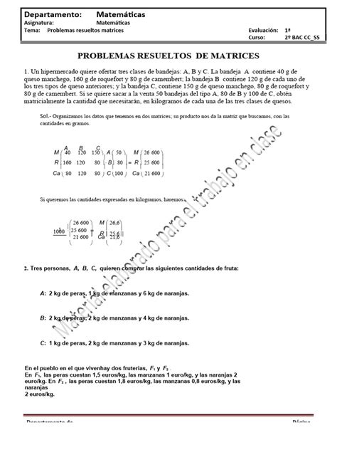 Problemas Resueltos De Matrices Pdf Matriz Matemáticas Alimentos