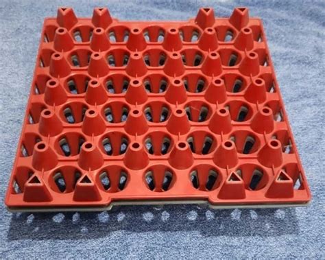 Red Egg Hatching Tray At Best Price In Hajipur By Akr Poultry