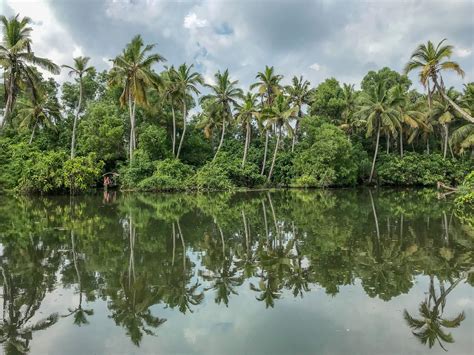 Kerala Top 15 Reasons To Go And What To See And Do There Part 1
