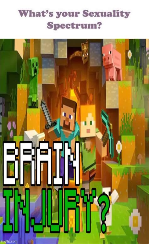 Whats Your Sexuality Spectrum Imgflip