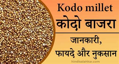 All About Kodo Millet Health Benefits Of Kodo Millet 46 Off