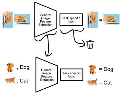 Self Supervised Learning Using Projection Heads Towards Data Science