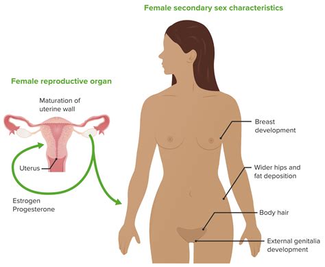 Determinación del Sexo Concise Medical Knowledge