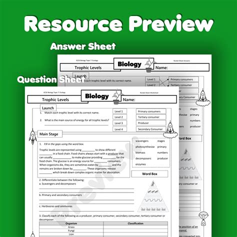 Trophic Levels Home Learning Worksheet Gcse Teaching Resources