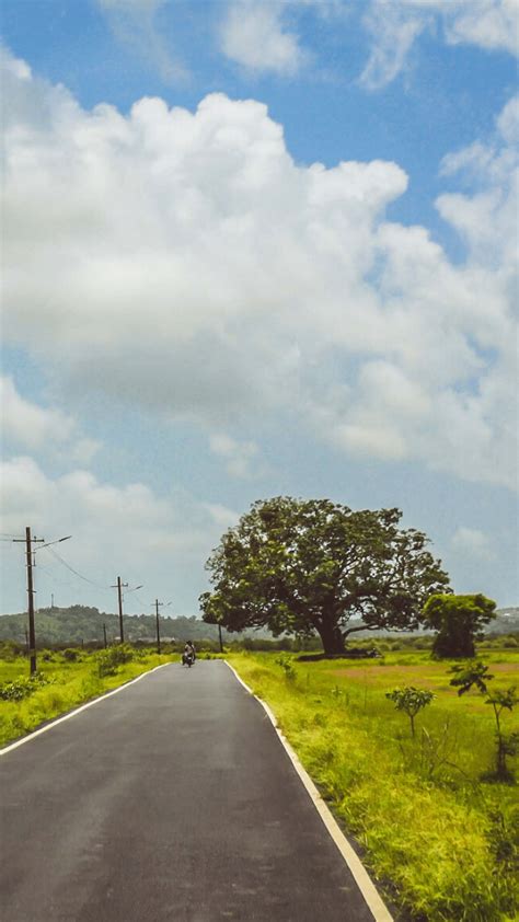 Things To Do On The Island Of Divar Gomantak Times