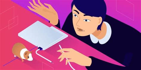 How To Resolve Mamps “localhost Refused To Connect” Error 7 Methods