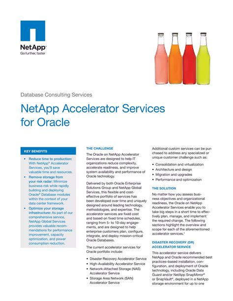 netapp datasheet oracle accelerator pdf
