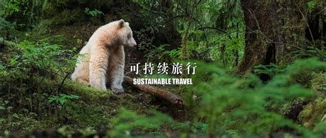 目的地新旅行官网 Cn