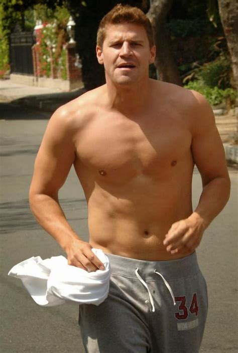 Daisys Books Bodies And Reviews David Boreanaz