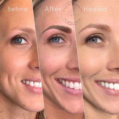 Healed Powder Brows Ombre Eyebrows Brows Light Brown Ombre