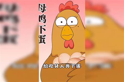 原来如此！母鸡下蛋的“秘密”竟是一家人就是要整整齐齐！ 秘密 母鸡 一家