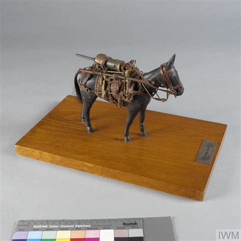 Pack Mule Carrying Parts Of Dismantled Gun Imperial War Museums