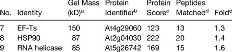 Identity Of Three Putative Protein Substrates For The Chloroplast Clp Download Table