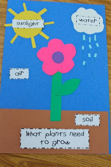 Mrs Lisas Pre K Crew Rocks Plants Preschool Activities Preschool