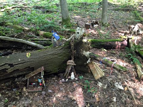 Lily Dale New Yorks Town That Talks To Spirits Exploring Upstate