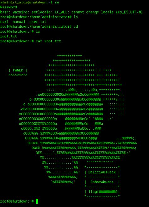 ctf delicioushack shutdownctf